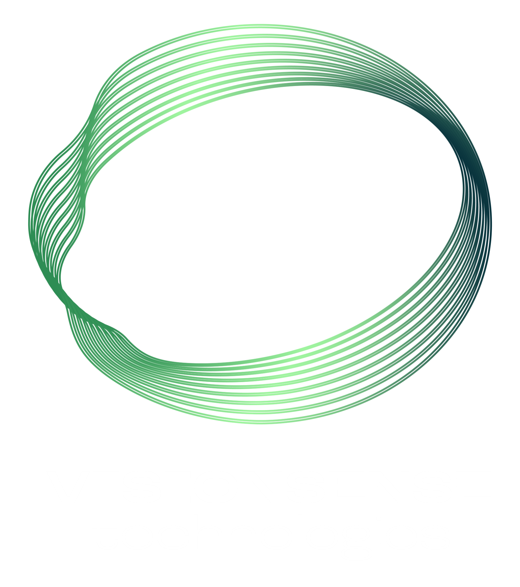 VisionSense Technologies